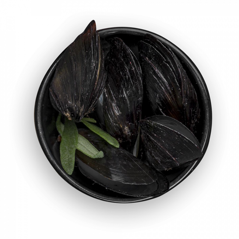 Tomato Bruschketta - Tribez Steak House